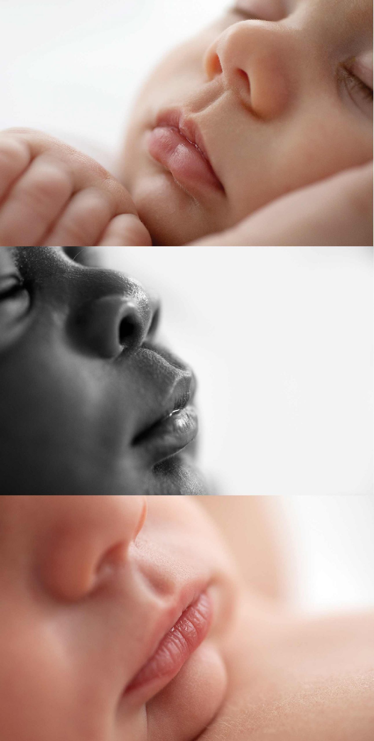 Macro Photography - Tiny Details that Reveal Big Stories